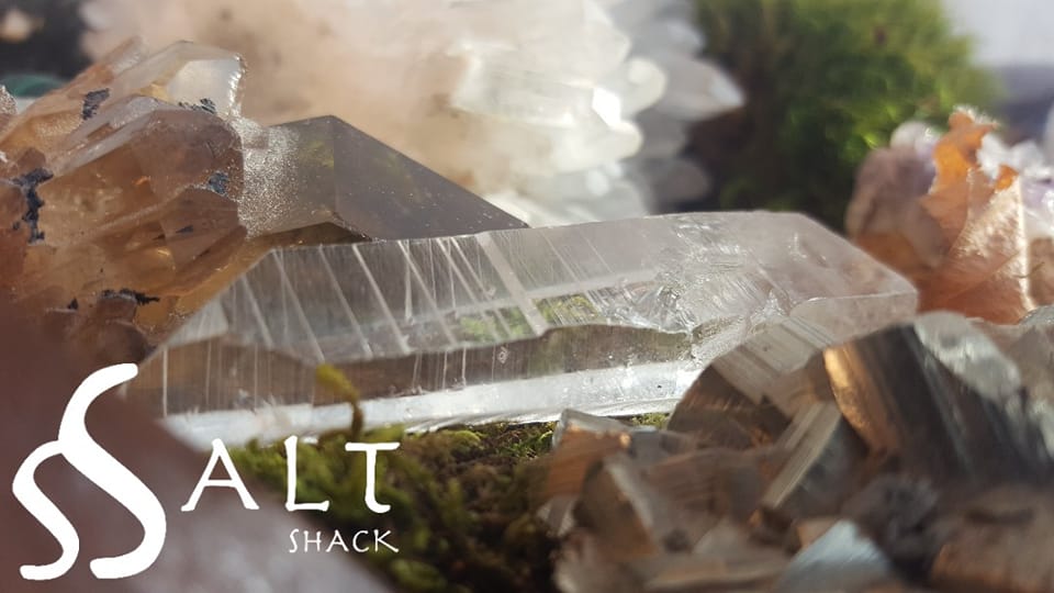 lemurian